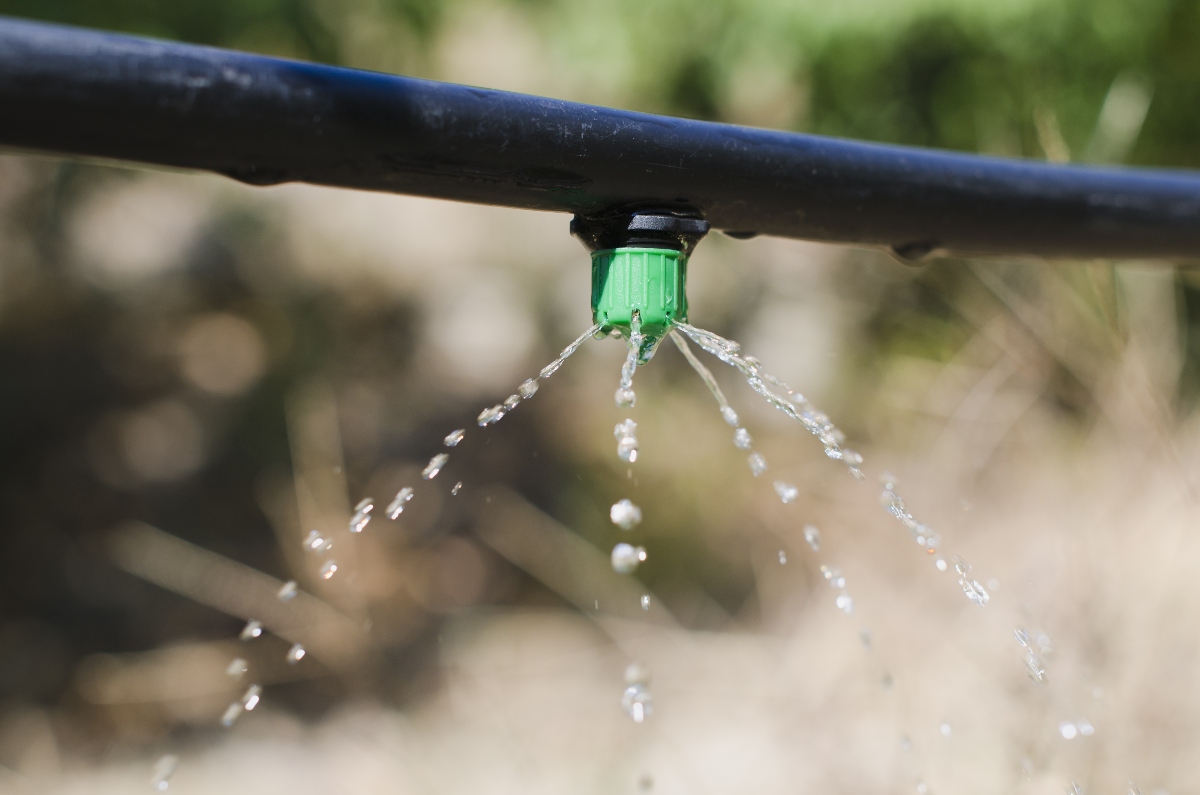 Irrigating Your Garden Using Natural Methods - The Greatest Garden